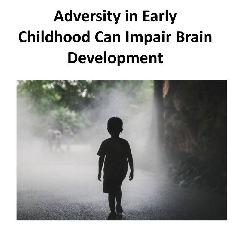 [Wichai Purisa ] Adversity in Early Childhood Can Impair Brain ...