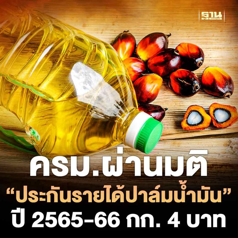 [ฐานเศรษฐกิจ_Thansettakij] ครม.ผ่านมติ "ประกันรายได้ปาล์มน้ำมัน" ปี 2565-66 กก. 4 บาท ครม. รับ ...