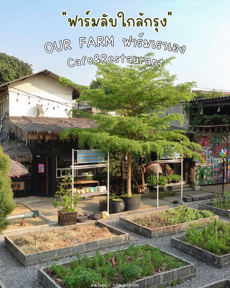 [ตามใจมุก] Our Farm ฟาร์มเราเอง Cafe & Restaurant ฟาร์มลับใกล้ BTS สำโรง ใครจะเชื่อว่าออกจาก ...