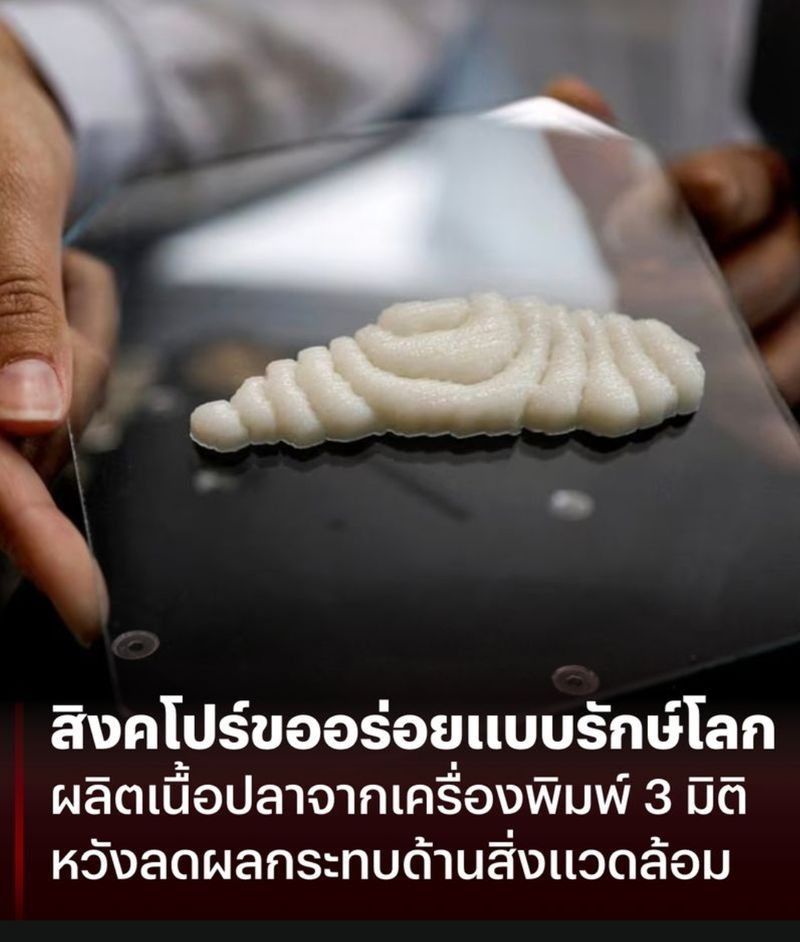 นายสมบัติ พลายใย เพาะเนื้อเยื่อ โดยกระบวนการผลิตเริ่มจากสกัดเซลล์ปลาเก๋าแล้วทำให้มันเติบโตเป็น