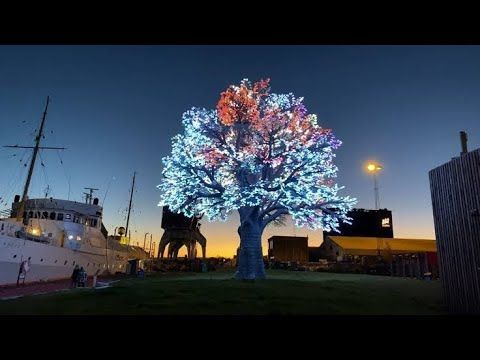 [Everythinghobby] Magical Tree ศิลปะแห่งออสโล-แมจิคัลทรีแห่งออสโล ...