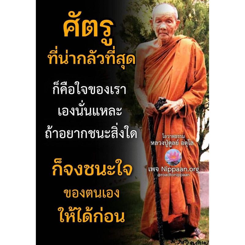 [เบื่อเมือง] กราบสาธุในธรรมคำสอน หลวงปู่ดูลย์ อตุโล