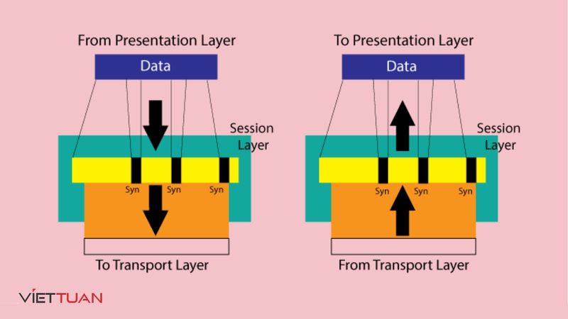 [viettuansvn] Session layer là gì? Cách thức hoạt động của Session ...