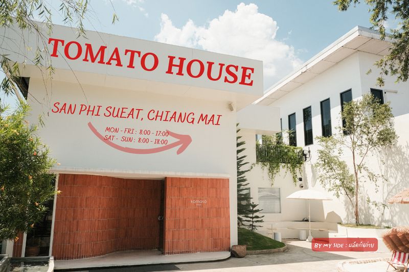 [By My Side: ผลัดกันถ่าย] TOMATO.cafe.cnx สาขาสันผีเสื้อ☕️🍅 คาเฟ่สไตล์ ...