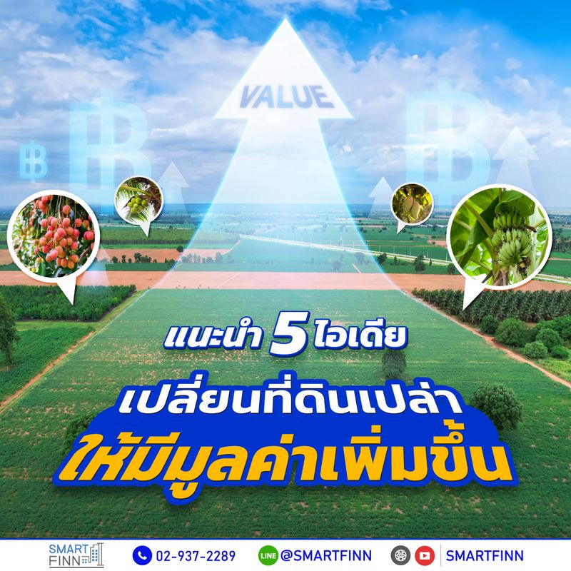 [Smartfinn] แนะนำ 5 ไอเดียเปลี่ยน ที่ดินเปล่า ให้มีมูลค่าเพิ่มขึ้น ปล่อยที่ดินให้รกร้างว่างเปล่า ...