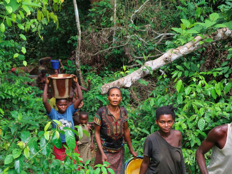 [HISTORY OF WORLD] Impact on Indigenous Peoples: European colonization ...