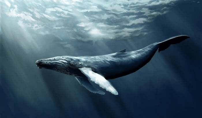 [แอดมิน Tui Space]