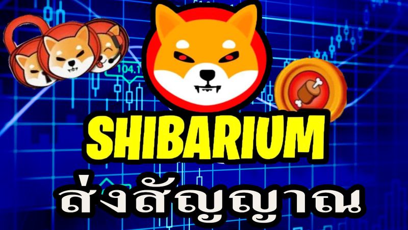 [SCOPE TV] Shibarium ส่งสัญญาณเตือน หลังบรรลุเหตุการณ์สำคัญที่น่าทึ่ง ...