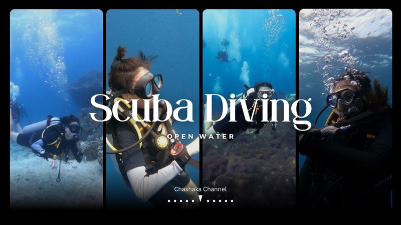 [ฌาอยากลาออกไปดำน้ำ] เรียนดำน้ำ Scuba Diving 3 วันจบ ที่เกาะเต่า🤙🏽 ทริป ...