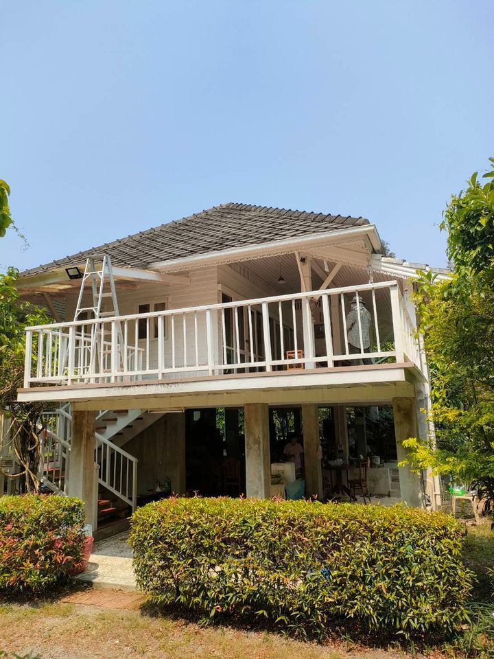 [BirdKung - Windecor (เบิร์ดคุงมุ้งจีบพันล้าน)] หลังคาเลื่อนอัตโนมัติผ้าใบแรงดึงสูง ดีไซน์หรู ...