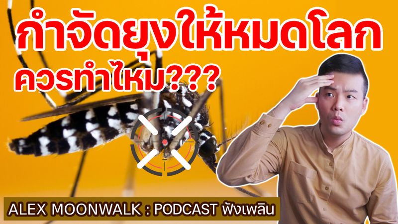 [Alex Moonwalk] เราควรกำจัดยุงให้หมดโลกไหม?? EP ใหม่ Alex Moonwalk ออกแล้ว! ตอนนี้ฟังง่ายๆ ไม่ ...