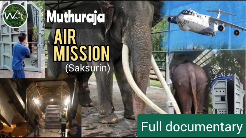 [Everythinghobby] 4 ก.ค.2566 "ในหลวง" ทรงพระกรุณาโปรดเกล้าฯ รับพลายศักดิ์สุรินทร์ ไว้ในพระบรมรา ...