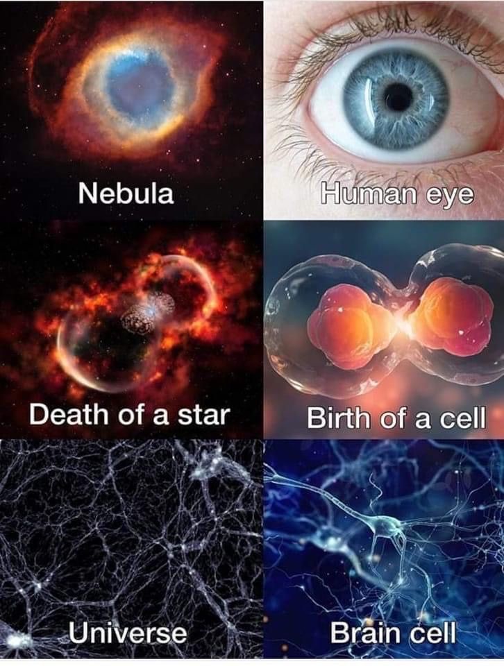 [อาทิตย์เรือนสิบ] ส่วนตัวมองว่า มันไม่ใช่เรื่องแปลกนะคะ แต่มันเป็น ...