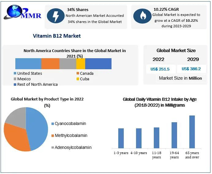 [kalpesh rajput] Vitamin B12 Market Size, Share, Company Profiles ...
