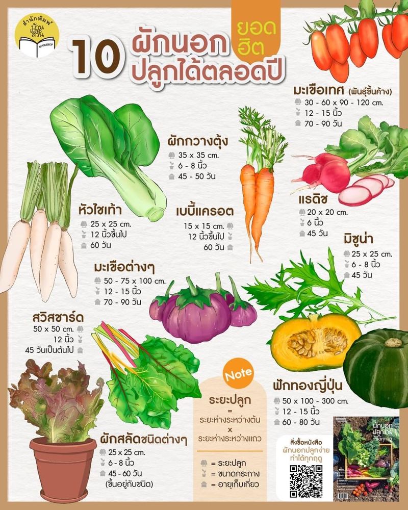 [บ้านและสวน] 10 ผักนอกยอดนิยมที่ปลูกได้ในบ้านเรา ผักนอกเหล่านี้ปลูกได้ ...