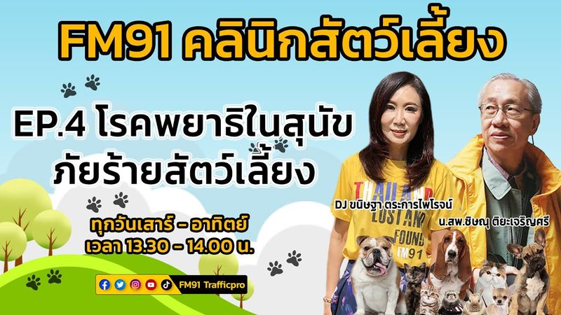 [FM91 Trafficpro] โรคพยาธิในสุนัข ภัยร้ายสัตว์เลี้ยง EP.4 : FM91 คลินิกสัตว์เลี้ยง สัมภาษณ์ นาย ...