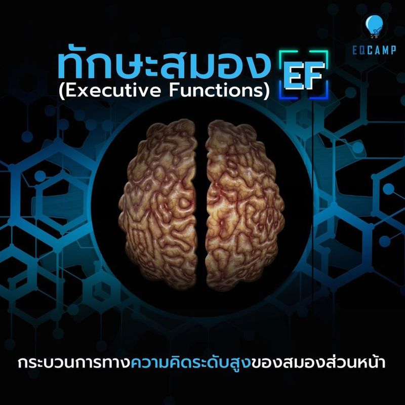 [EQ Camp] ทักษะสมอง ทักษะสมอง EF (Executive Functions) มีส่วนสำคัญเพื่อ ...