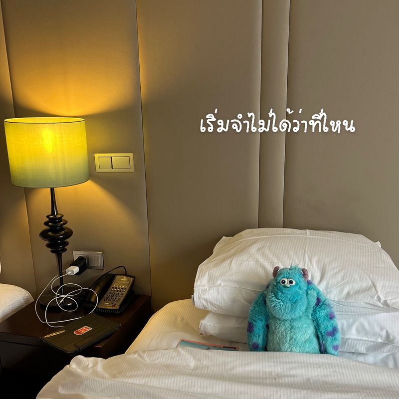 [Cool Coco] พา Sullivan เดินทางไปต่างประเทศ เล่าในมุมมองซัลลี่