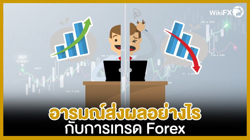[WikiFX.TH] อารมณ์ส่งผลยังไงกับการเทรด Forex https://www.wikifx.com/th/newsdetail ...