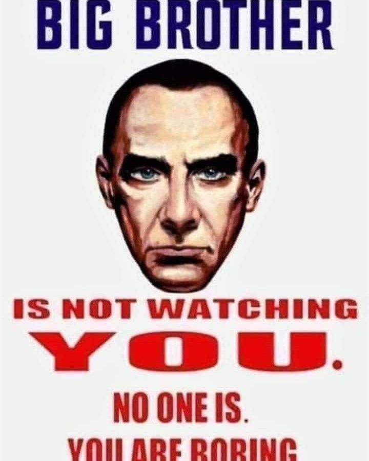 [Everythinghobby] BIG BROTHER IS NOT WATCHING YOU. NO ONE IS. YOU ARE ...