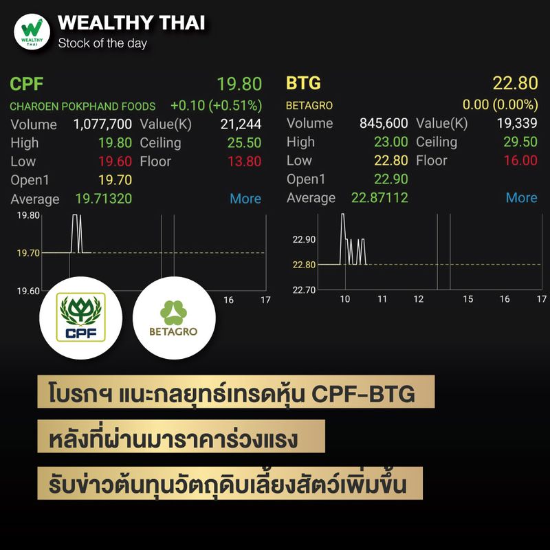 [Wealthy Thai] โบรกฯ แนะกลยุทธ์เทรดหุ้น CPF-BTG หลังที่ผ่านมาราคาร่วงแรง รับข่าวต้นทุนวัตถุดิบ ...