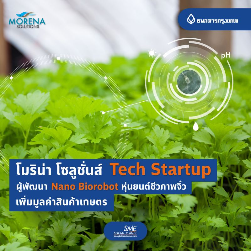 [Bangkok Bank SME] Nano Biorobot หุ่นยนต์ชีวภาพจิ๋ว เพิ่มมูลค่าสินค้า ...