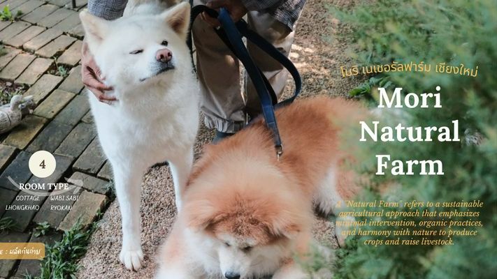 [By My Side: ผลัดกันถ่าย] Mori Natural Farm | ที่พักสไตล์ญี่ปุ่น ...