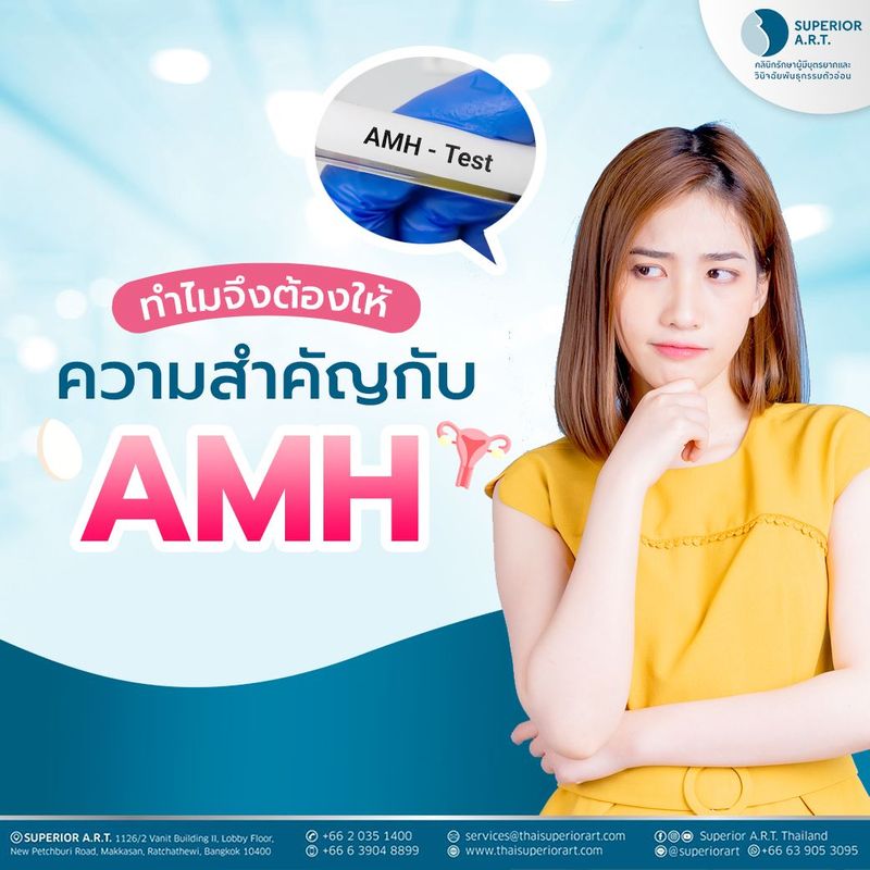 [Campbellred] ฮอร์โมน AMH สำคัญอย่างไรกับการทำเด็กหลอดแก้ว IVF | ICSI? ฮอร์โมน AMH เป็นฮอร์โมน ...