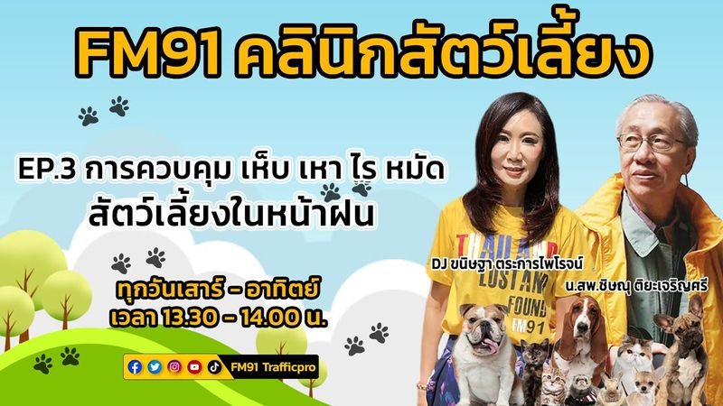 [FM91 Trafficpro] การควบคุม เห็บ เหา ไร หมัด สัตว์เลี้ยงในหน้าฝน EP.3 : FM91 คลินิกสัตว์เลี้ยง ...
