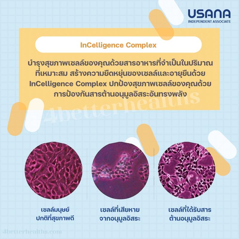 [Usana Independent Associate - ยูซานา] InCelligence Complex สร้างรากฐาน ...