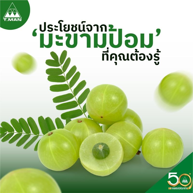 [T.MAN PHARMACEUTICAL] ประโยชน์จาก ‘มะขามป้อม’ที่คุณต้องรู้ วันนี้ T ...