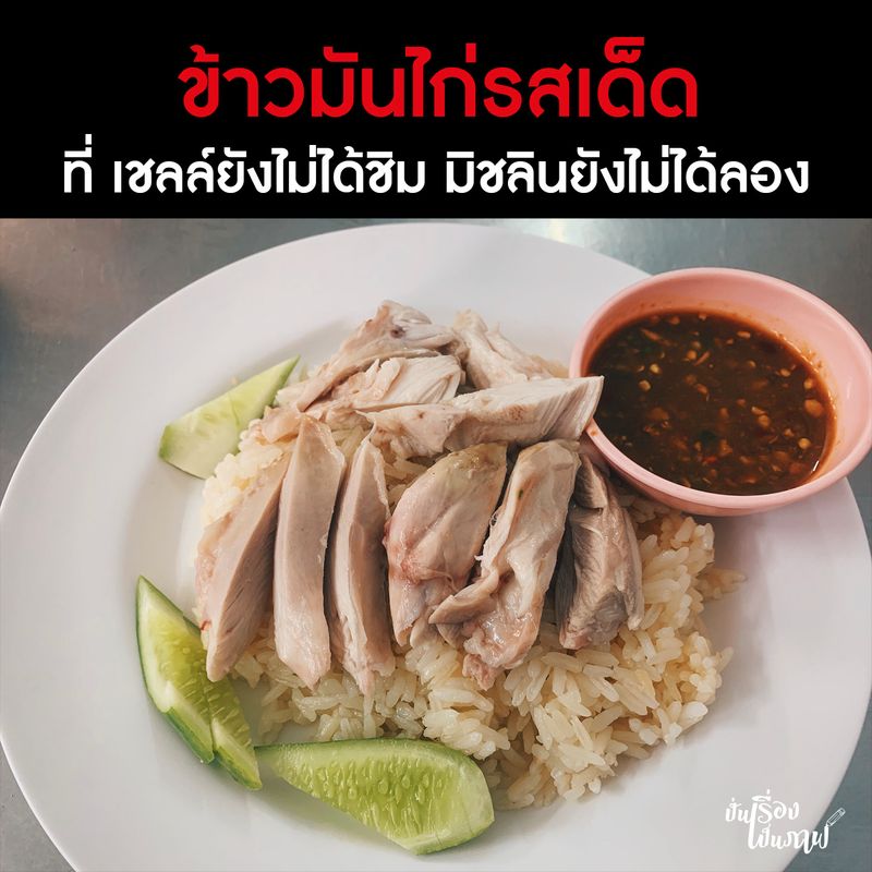 [ปั่นเรื่อง เป็นภาพ] ข้าวมันไก่รสเด็ด ที่เชลล์ยังไม่ได้ชิม มิชลินยัง ...