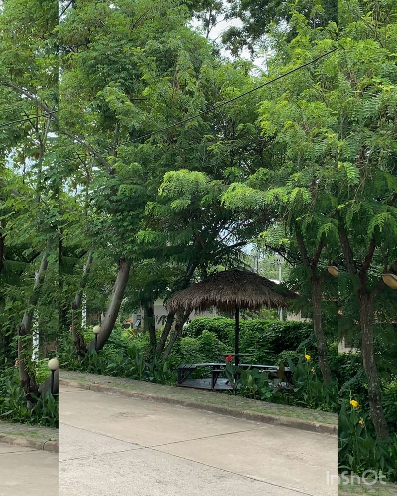 [windasharing] นิทานเรื่องนี้วินดาได้รับแรงบันดาลใจและปรับมาจากที่ได้ดูอนิเมะ เรื่องเดไออิมอน ...