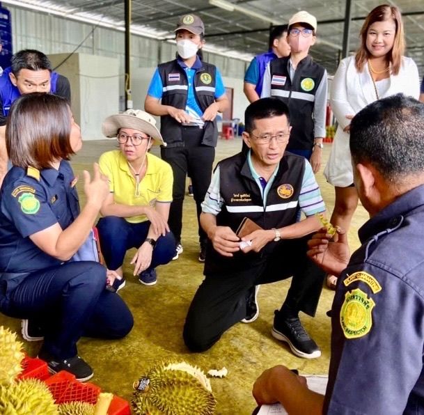 [Sorrasin ] ชุมพร ตรวจล้ง-แผงทุเรียน หลังมีทุเรียนด้อยคุณภาพต่างพื้นที่มาขาย หวั่นทุบราคา https ...