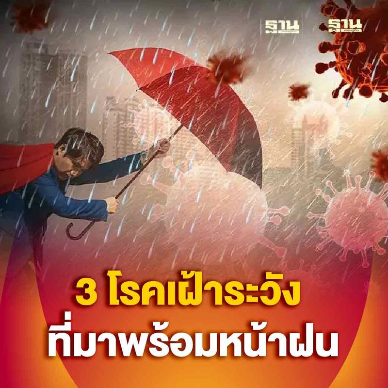 [ฐานเศรษฐกิจ_Thansettakij] 3 โรคเฝ้าระวัง ที่มาพร้อมกับหน้าฝน พร้อมวิธีรับมือ เมื่อเริ่มเข้าสู่ ...