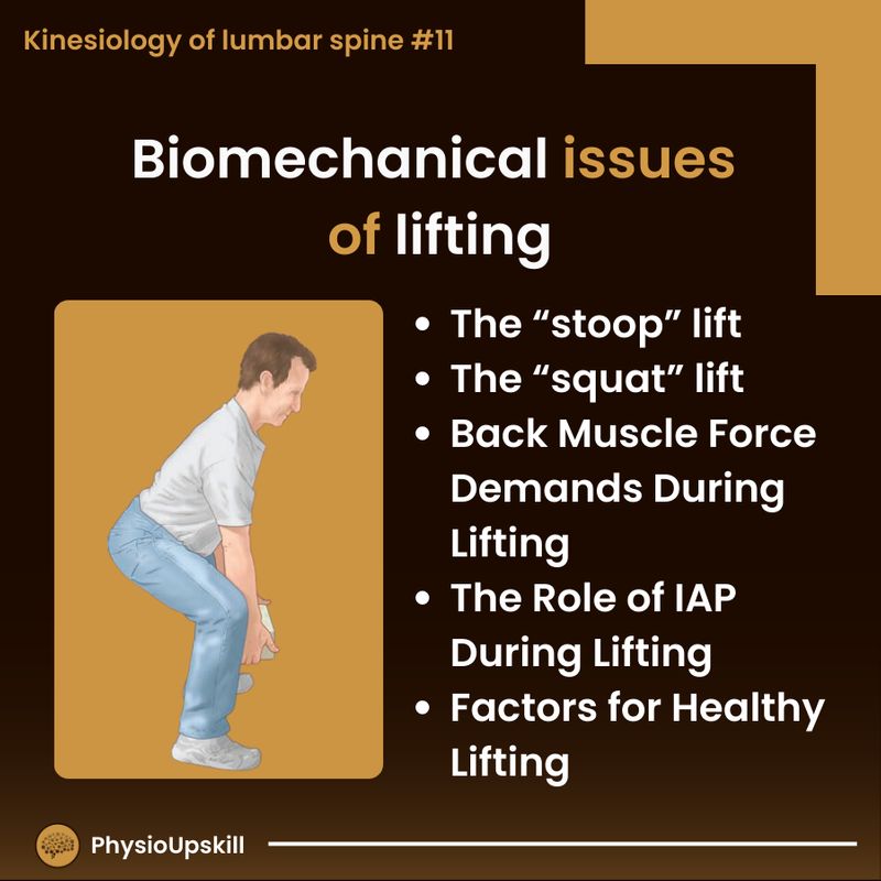[Physioupskill] ## Episode55: Kinesiology of lumbar spine#11 ...