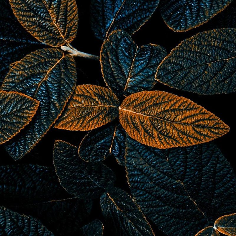 [Nurul_Huda] الورقات فى فهم المختصرات 66.EP [ หมวดวิชาฟิกฮ์ ep.30 ]