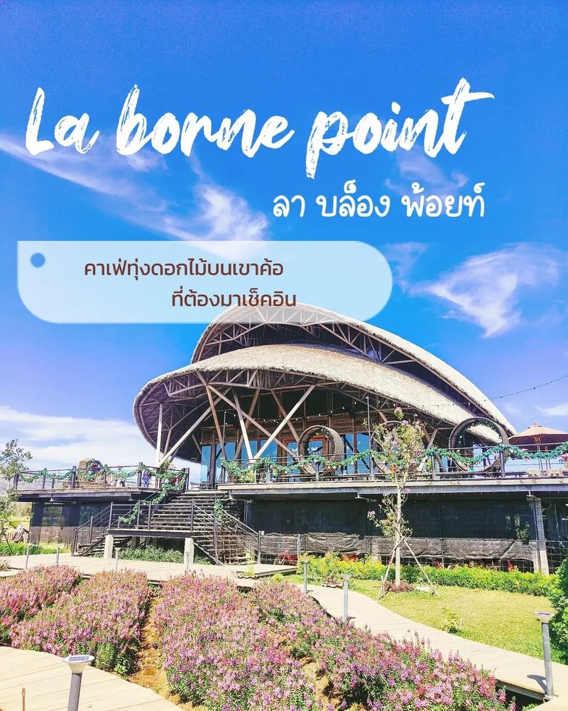 [Pitchapa Prajit] La borne point ลา บล็อง พ้อยท์ คาเฟ่ทุ่งดอกไม้ ☕ หากใครไปเขาค้อ แล้วอยากแวะหา ...