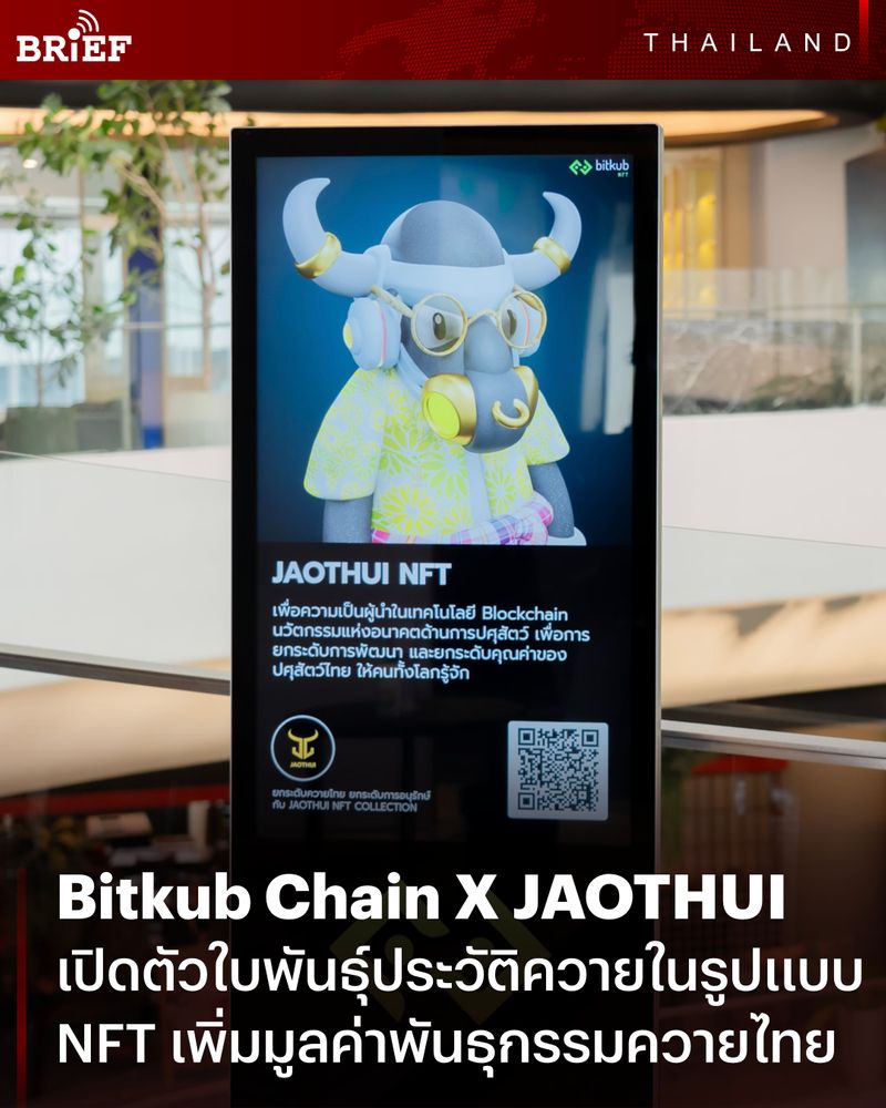 [beartai BRIEF] Bitkub Chain ร่วมมือกับ Jaothui เปิดตัวใบพันธุ์ประวัติควายในรูปแบบ NFT • บริษัท ...