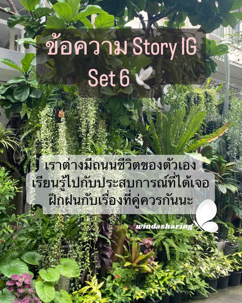 [Admin Kaopoon Talk]