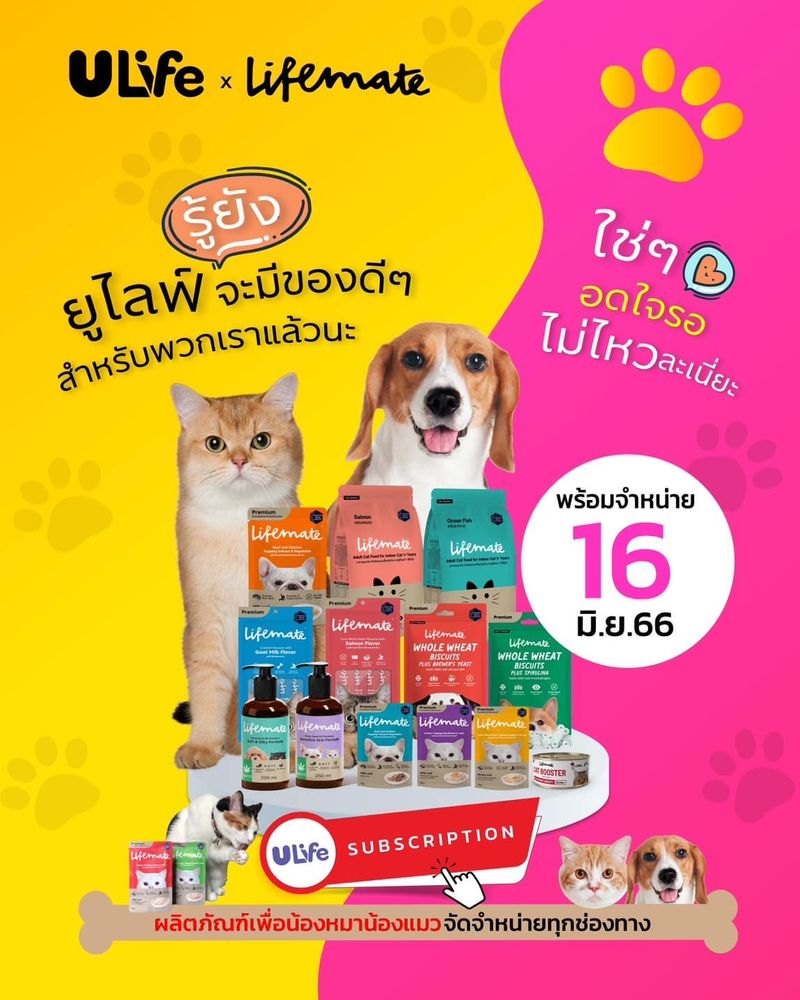 [SubscriptionNok] กรี๊ดสิครับ กรี้ด‼️ เมื่อ ULife x Lifemate จับมือกัน อีกก้าวสำคัญ ที่ห้าม ...