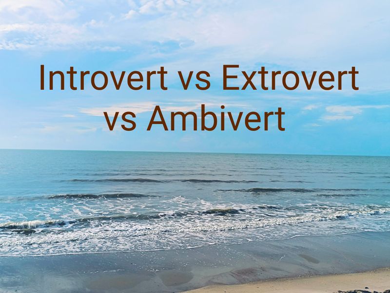[Mayonnaise] Introvert vs Extrovert vs Ambivert แบบไหนที่เป็นคุณและแบบ ...