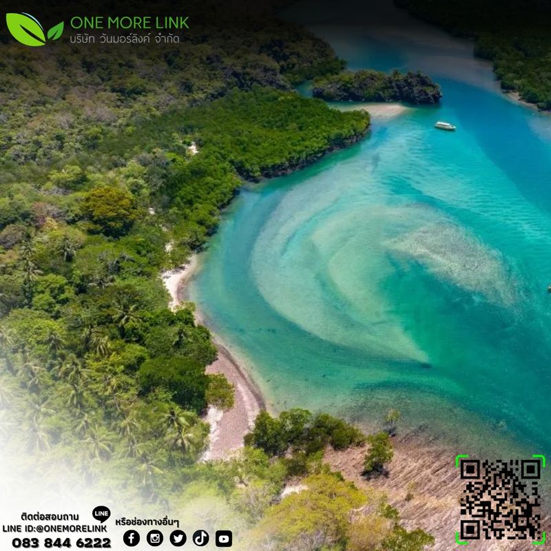 [ONE MORE LINK วันมอร์ลิงค์บริการกำจัดกากอุตสาหกรรม] ระบบนิเวศ "ป่าชายหาด" คืออะไร ป่าชายหาด ...