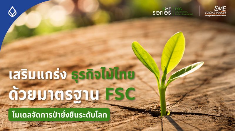 [Bangkok Bank SME] มาตรฐานการจัดการป่า ‘FSC’ ทางออก SME ผลิตภัณฑ์ไม้โตอย่างยั่งยืน ทั่วโลกต่าง ...