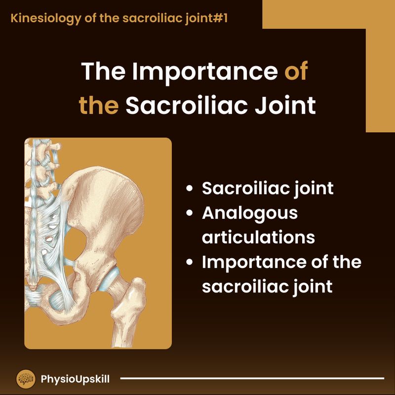 [Physioupskill] ## Episode56: Kinesiology of Sacroiliac joint#1 The ...