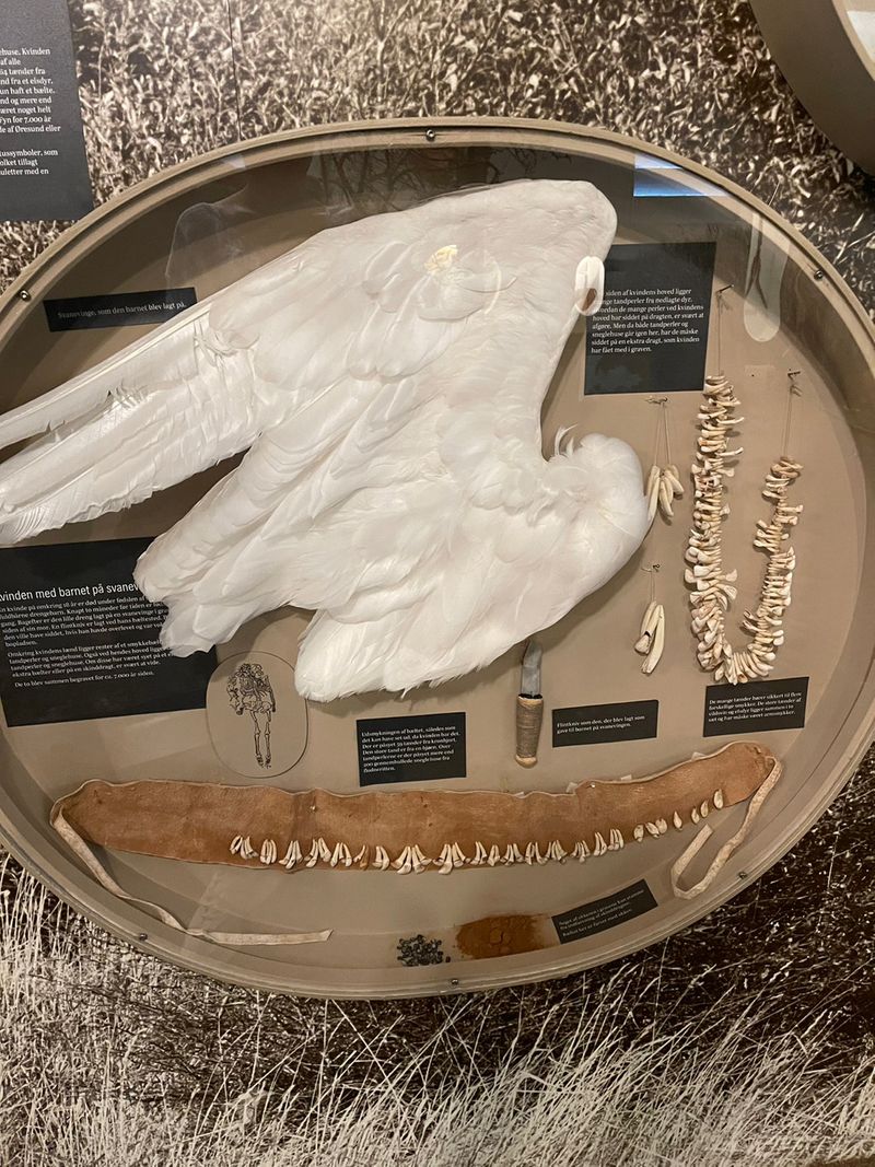 [Where travel, taste and art meet] ชีวิต สิงสาราสัตว์ ความรักของมนุษย์ ...