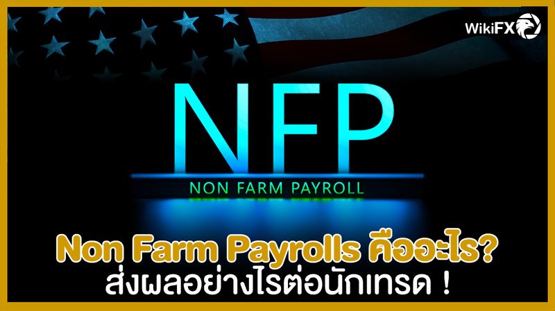 [WikiFX.TH] Non Farm Payrolls คืออะไร? ส่งผลอย่างไรต่อนักเทรด ! https://www.wikifx.com/th ...