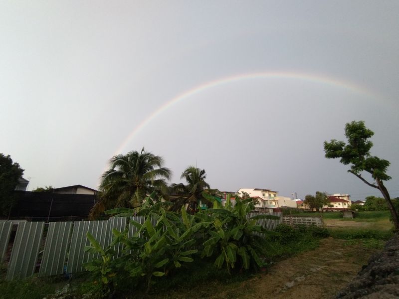 [ผลกรรมวจีกรรม คนนินทา ใส่ร้ายเพื่อนร่วมงาน] สาร INS หรือสารให้ความคง ...