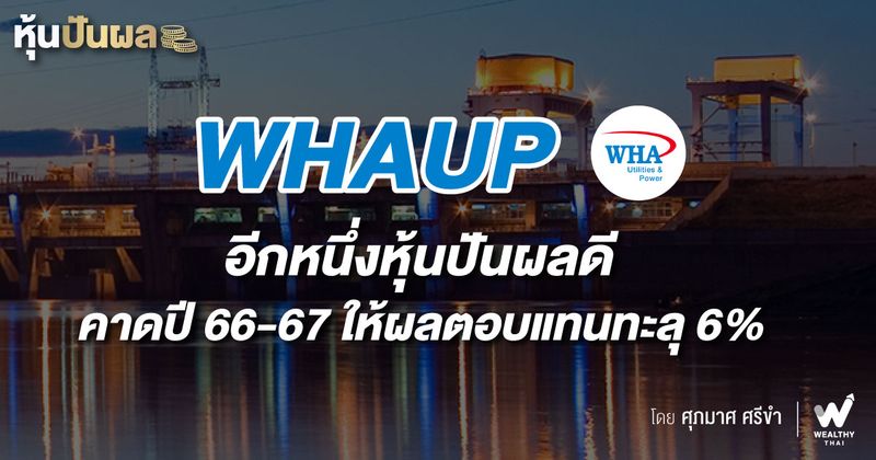[Wealthy Thai] WHAUP อีกหนึ่งหุ้นปันผลดี คาดปี 66-67 ให้ผลตอบแทนทะลุ 6% หุ้นปันผลดีสัปดาห์นี้ ...