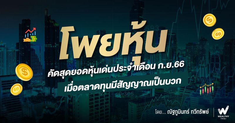 [Wealthy Thai] คัดสุดยอดหุ้นเด่นประจำเดือน ก.ย.66 เมื่อตลาดทุนมีสัญญาณเป็นบวก เจอกันอีกครั้ง ...